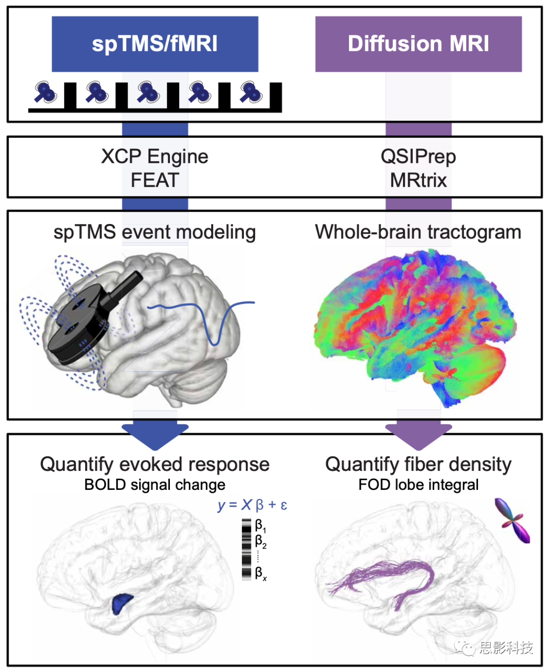 皮层-皮层下结构连接支持经颅磁刺激有效地影响杏仁核_扫描仪交错tms是什么意思-CSDN博客