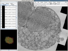 matlab拼接tiff文件_ImageJ实用技巧——自动图片拼接(基本功能篇)_weixin_39605578的博客-CSDN博客