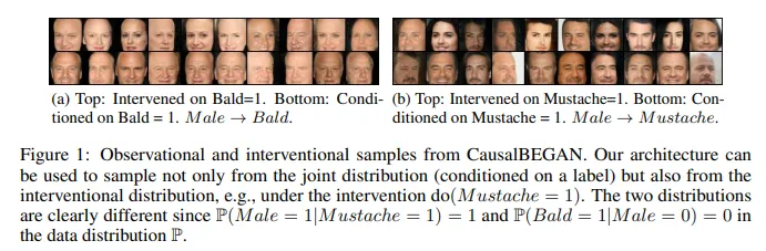 CausalGAN：通过对抗训练学习因果隐式生成模型_causalgan: learning causal implicit generative mod-CSDN博客