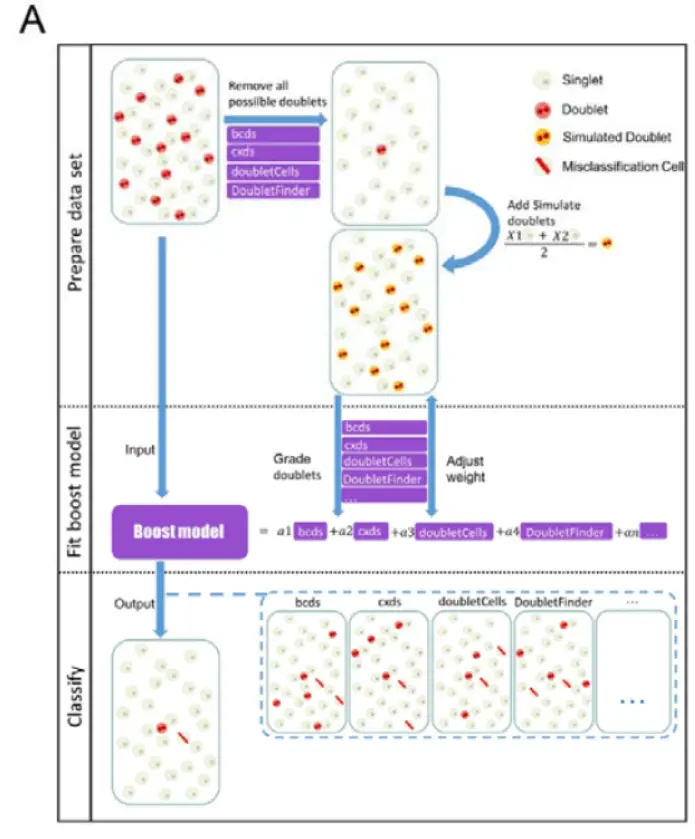 10X单细胞（10X空间转录组）多细胞去除之Chord_singlet cells-CSDN博客