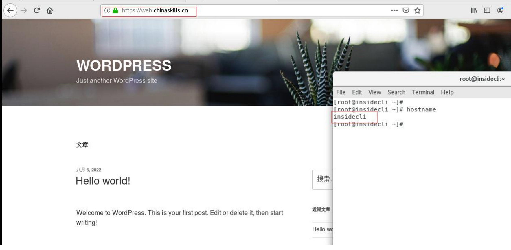 【Centos】web代理_web.chinaskills.cn-CSDN博客