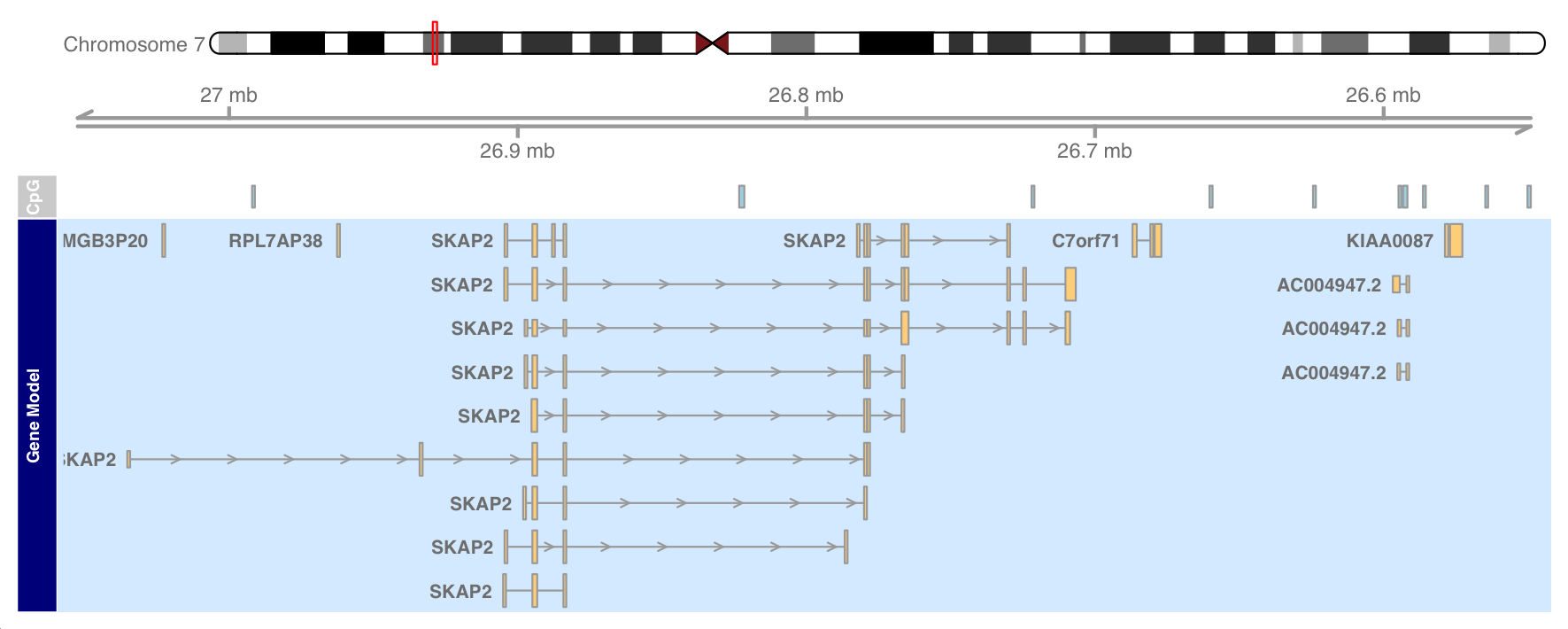 Use GVIZ package to achieve genome data visualization - Programmer Sought