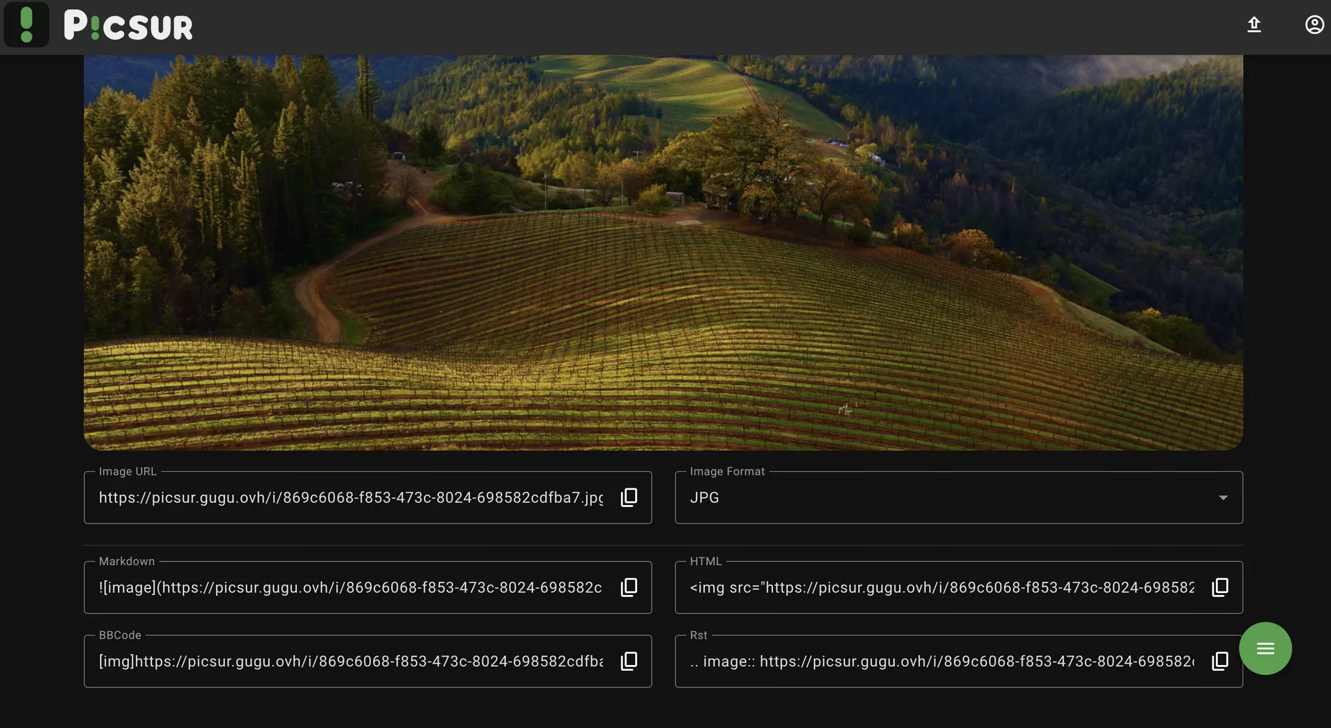 【好玩儿的Docker项目】10分钟搭建一个内置图片转换功能的图床——Picsur_docker 图床-CSDN博客