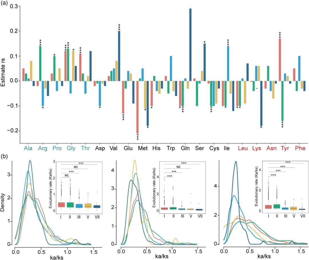 超简单的比较基因组学Ka/Ks进化速率图绘制_基因组ks密度分布图-CSDN博客