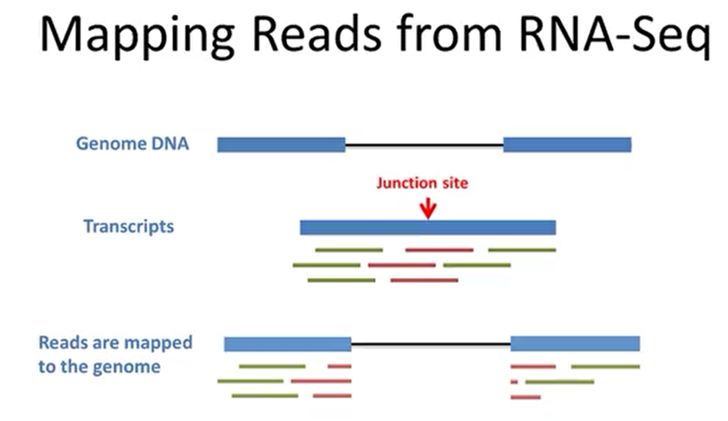 第五章 RNA-seq分析_计算rnaseq 的power值-CSDN博客