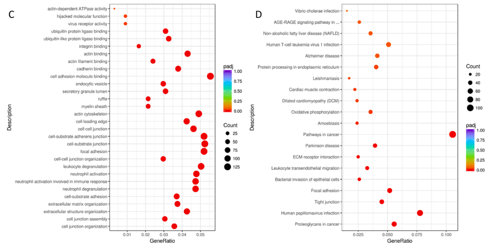 低浓度阿拉特津（ATZ）诱导MCF-7细胞增殖的生物标志物发现及其代谢组学机制探究_代谢组中的pos-CSDN博客