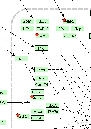 seqkit根据基因id_老司机带你解锁DAVID数据库的多基因富集分析_weixin_39673471的博客-CSDN博客