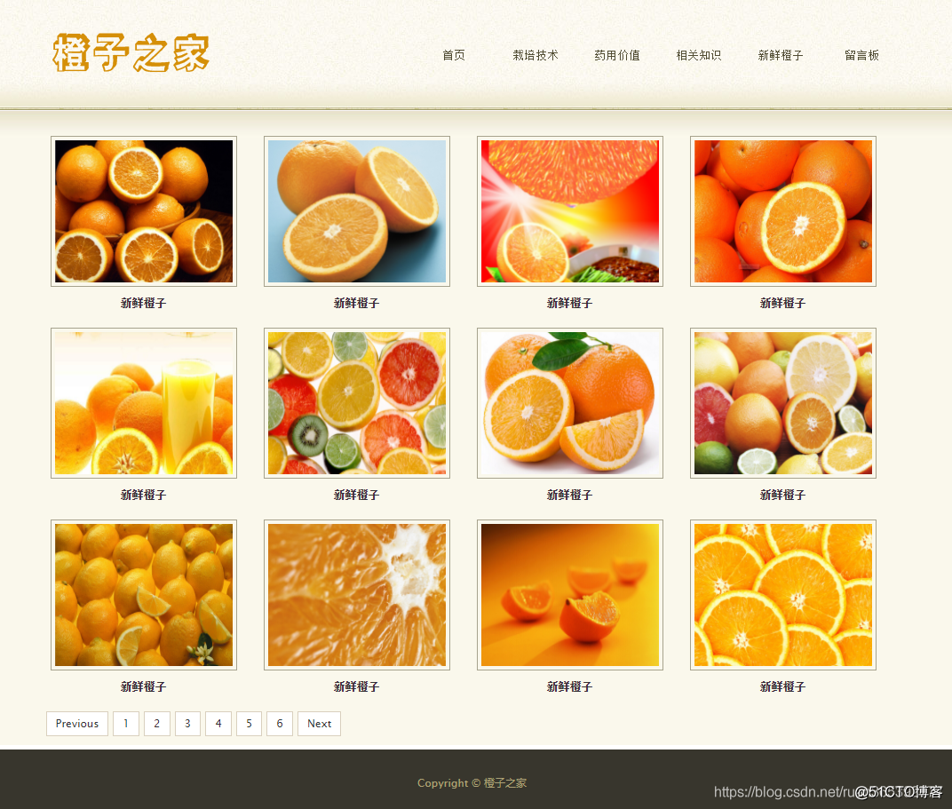Html5期末大作业：网站——水果介绍橙子之家 6页面 ~html学生网页设计作业源码 学生html个人网页作业作品下载 Web课程设计网页规划与设计 大学生个人网站作业模板 Csdn博客