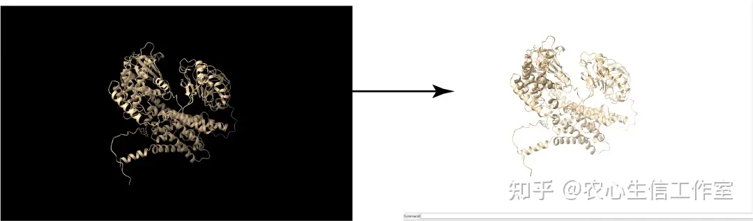超实用！用ChimeraX对AlphaFold 结果可视化（中）: 蛋白结构美化篇-CSDN博客
