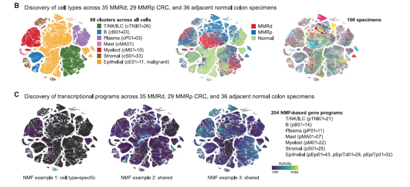 10X单细胞（10X空间转录组）数据分析之NMF寻找转录programs_单细胞nmf-CSDN博客