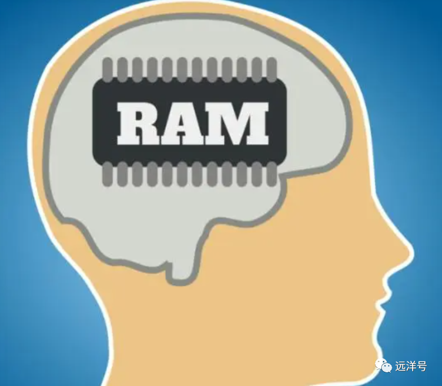 大脑的记忆-CSDN博客