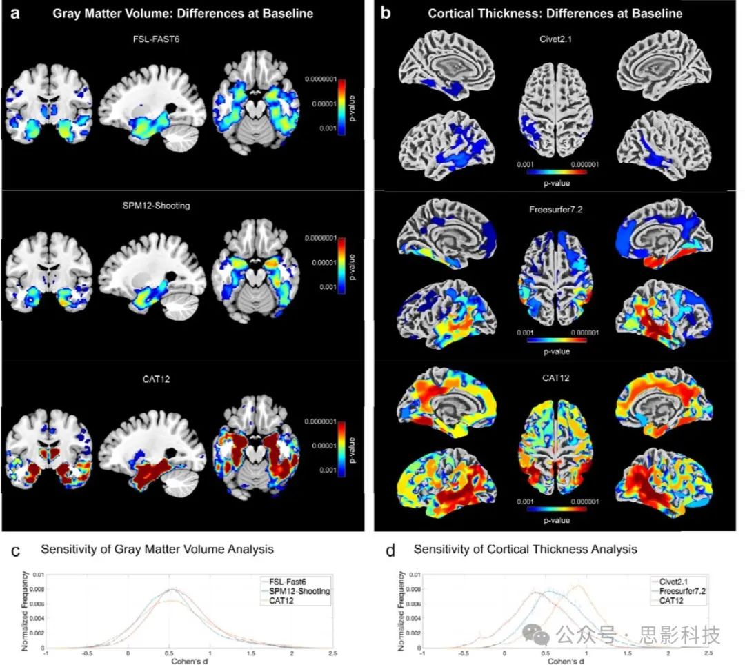 CAT-用于结构MRI数据分析的计算解剖工具箱_dk40图谱解剖-CSDN博客