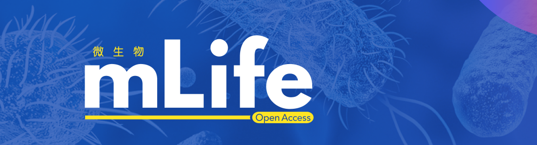 mLife | “夹心平板法”挖掘微生物资源——纯培养与共培养的有机结合-CSDN博客