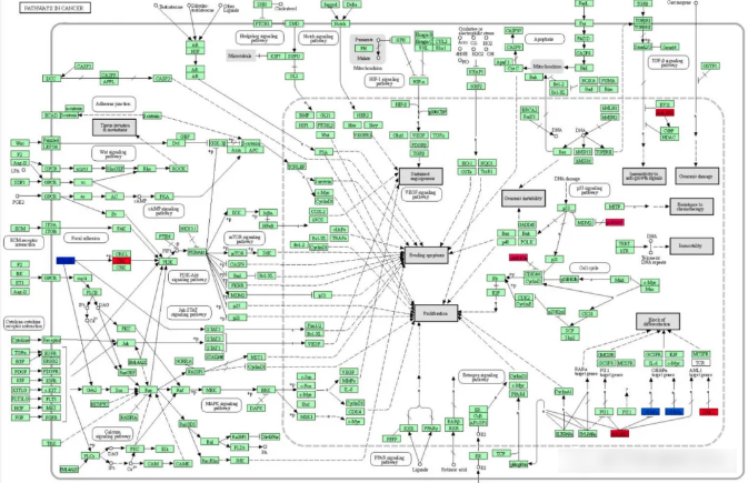 通路可视化工具介绍_kegg mapper – color-CSDN博客