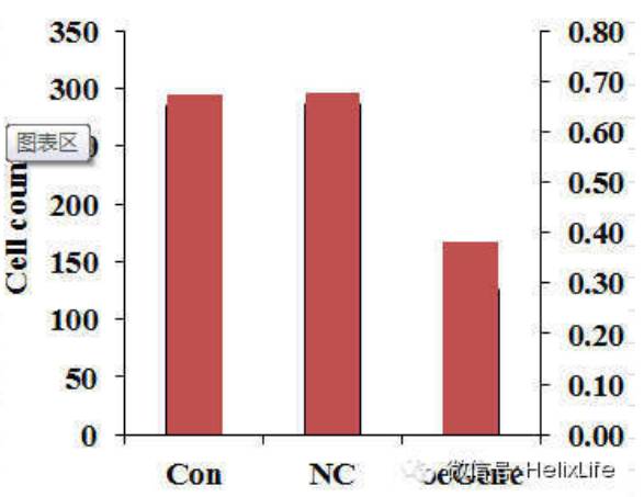 Echsrts柱状图如何设置鼠标放上多显示一组值sci作图如何告别图样图森破 Csdn博客