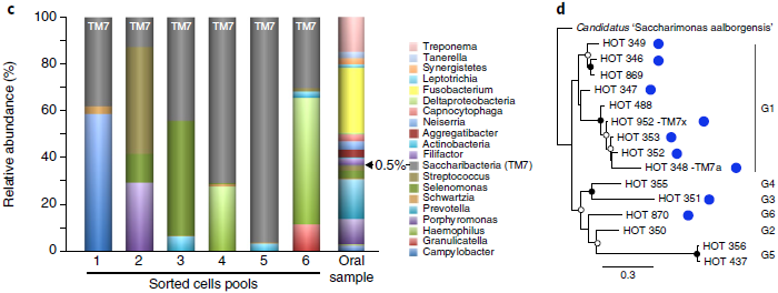 Nature Biotechnology|利用反向基因组学技术定向分离未培养细菌_tm7a菌-CSDN博客