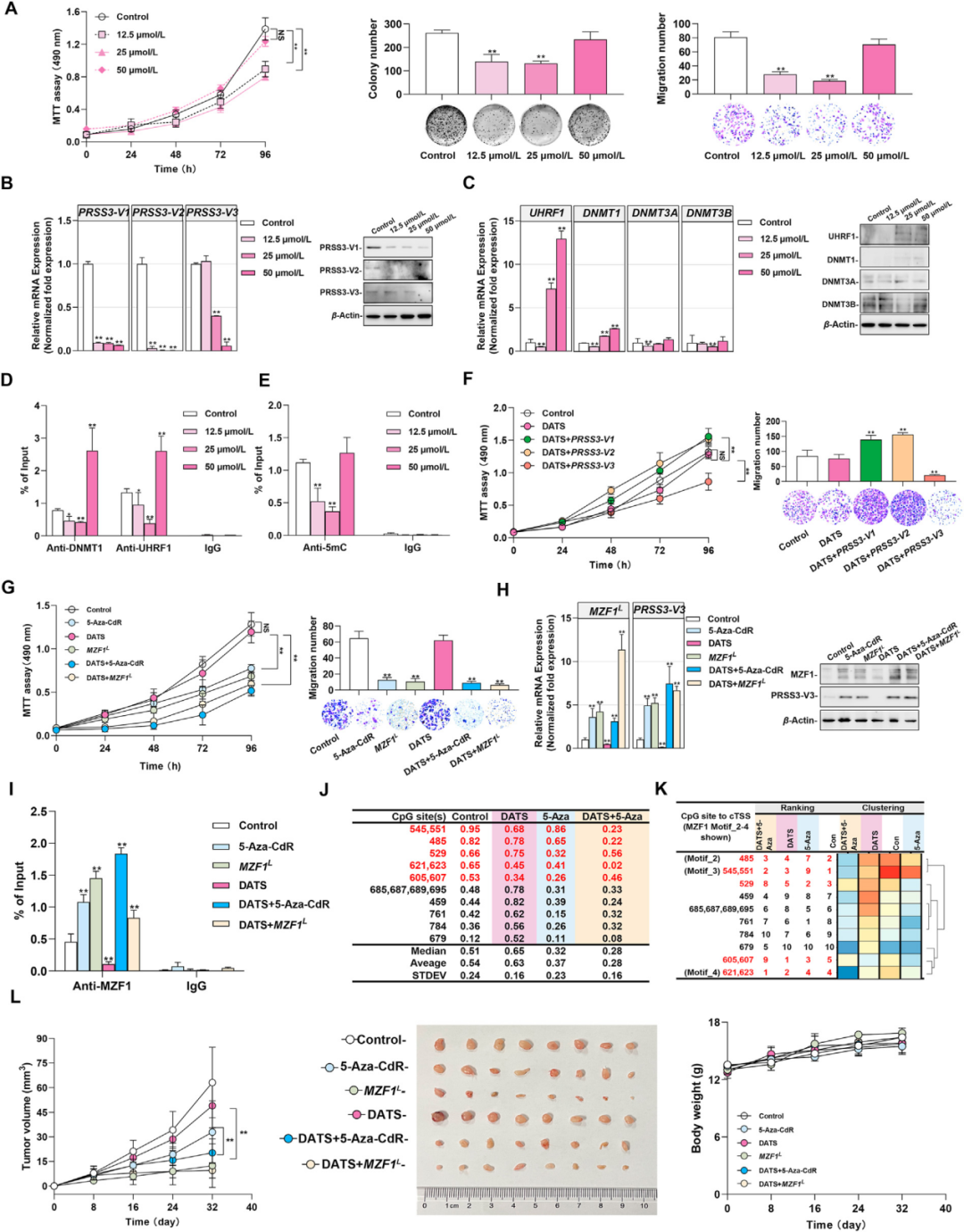 DNA甲基化与转录组关联不上？看看这篇文章_发散转录-CSDN博客