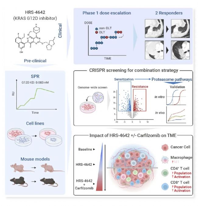 有投必奖 | 大家都用 MCE 产品做了啥? (肿瘤癌症方向) |MCE_mce发文奖励-CSDN博客