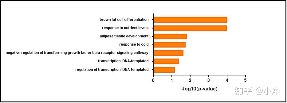 go操作excel方便么_Go（Gene Ontology） analysis——“生信分析”基础四_悠玲的博客-CSDN博客