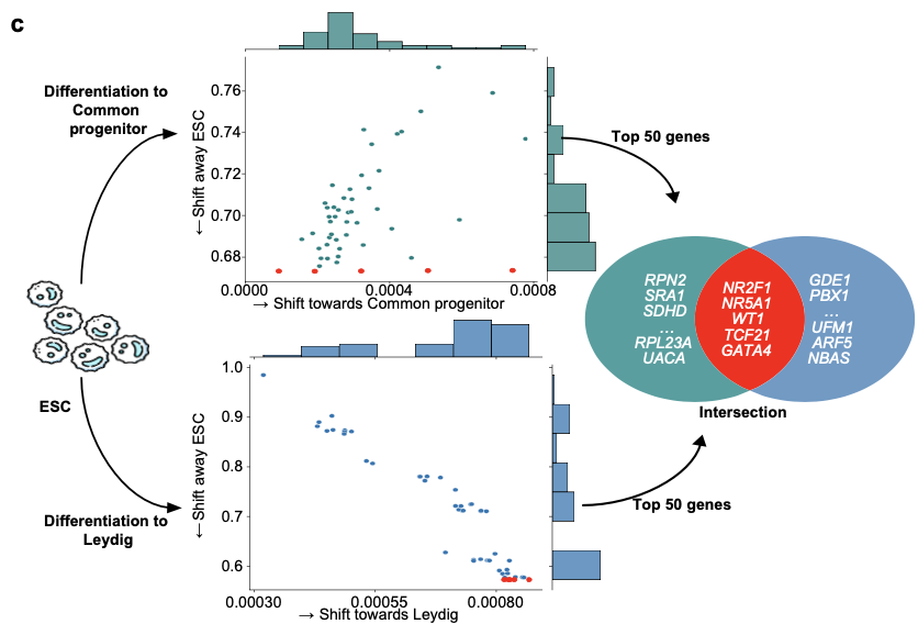 首个知识与数据联合驱动的多物种生命基础大模型发布！中国科学院团队发布GeneCompass：解析基因调控密码，打造干湿融合新范式...-CSDN博客