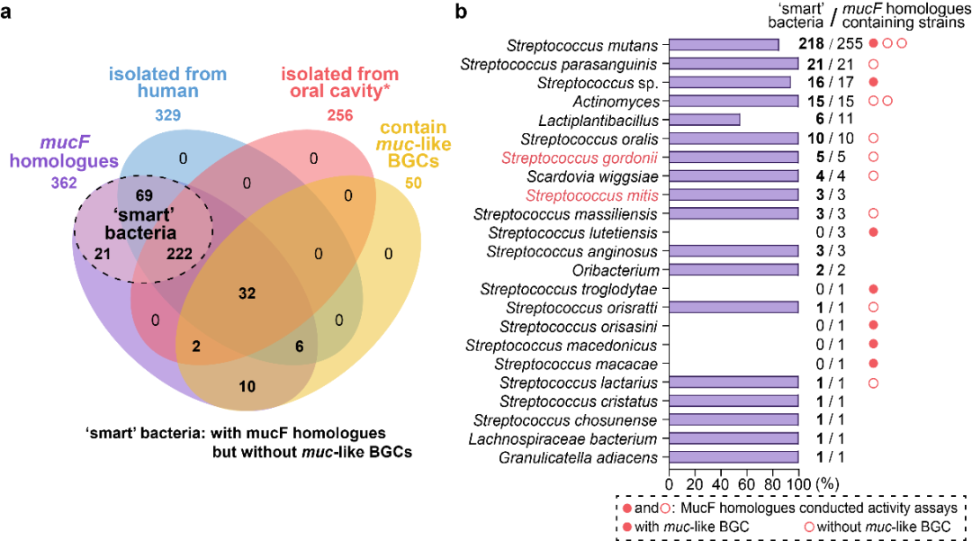 Microbiome | 微生物所陈义华/深圳湾唐啸宇-人类相关的细菌为适应环境而采用不寻常的途径合成3-乙酰化的四聚物...-CSDN博客