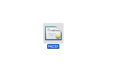 pkcs1与pkcs8格式RSA私钥互相转换_pkcs12 转 pkcs8-CSDN博客