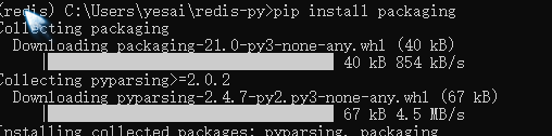 配置redis在windows1110的实验环境(利用redis Py和anaconda3)redis环境变量配置windows11 Csdn博客