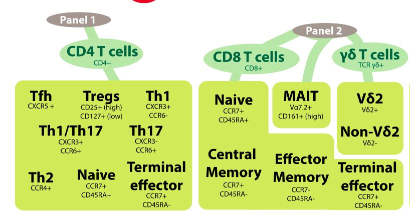 单细胞测序基础知识-CSDN博客