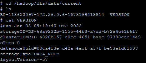 6. hadoop系列之HDFS镜像文件Fsimage和编辑日志Edits详解_虎hadoop fsimage 和edits-CSDN博客