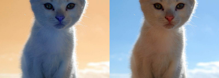 在 Google Colab 中使用 OpenCV 进行图像处理简介-CSDN博客