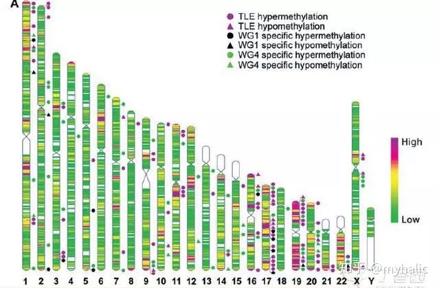 在线画图工具_画最美染色体，就要用这个新工具 | 今天被CRAN接收-CSDN博客