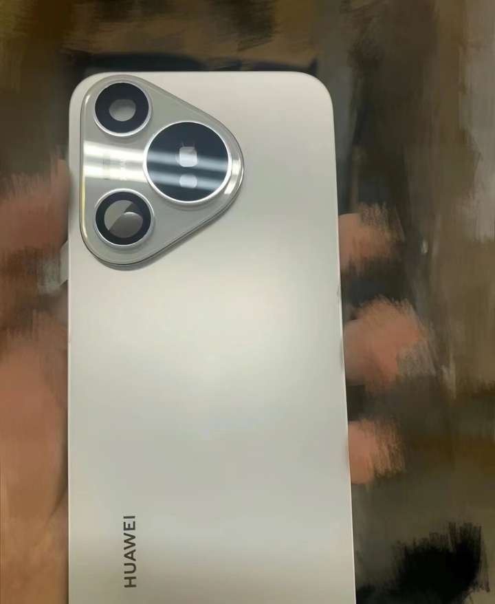 一周资讯 | P70价格大曝光！抖音成全球最大独角兽公司，价值1.56万亿；武大雷军班招生本硕博连读，100%保研；荣耀高管替网友催余承东发售p70；华为官宣2024开发者大会_抖音上的华为 ...