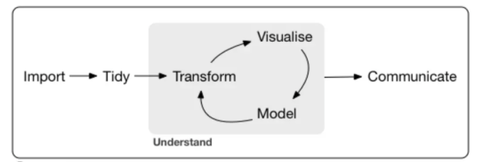 tidyverse：R语言中相当于python中pandas+matplotlib的存在_tidyverse与pandas-CSDN博客