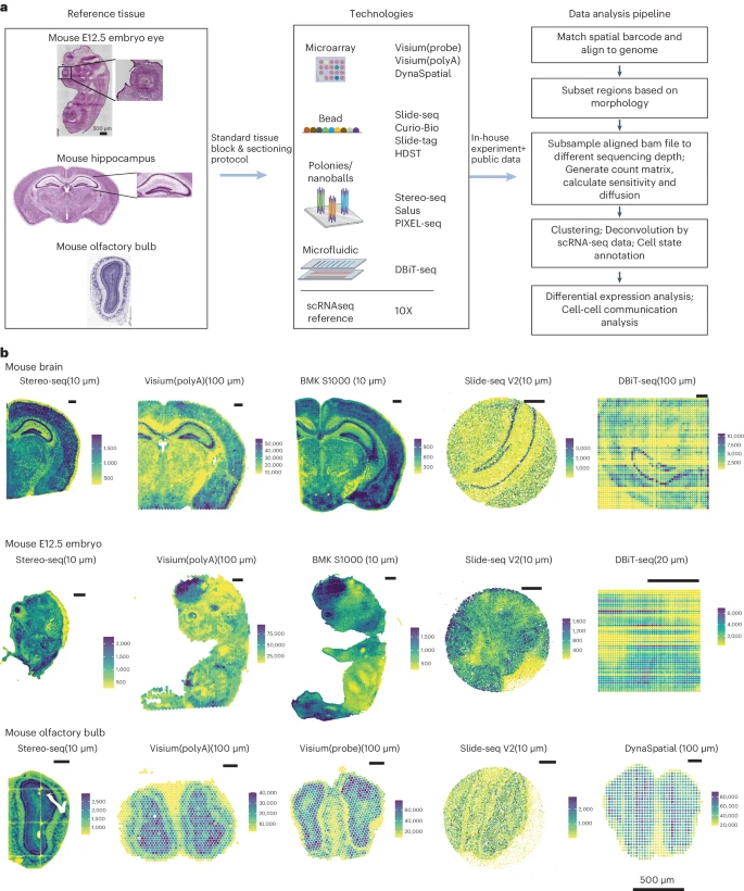 《Nature Methods》教你如何挑选空转平台_空转的spot的大小是多少-CSDN博客