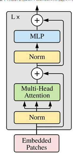 MindSpore社区活动：Transformer也能图像分类_mindspore transformer-CSDN博客