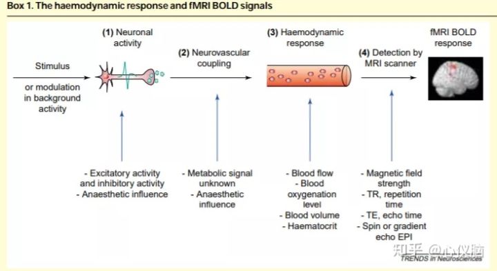 带你认识BOLD-fMRI成像原理_psybrain的博客-CSDN博客