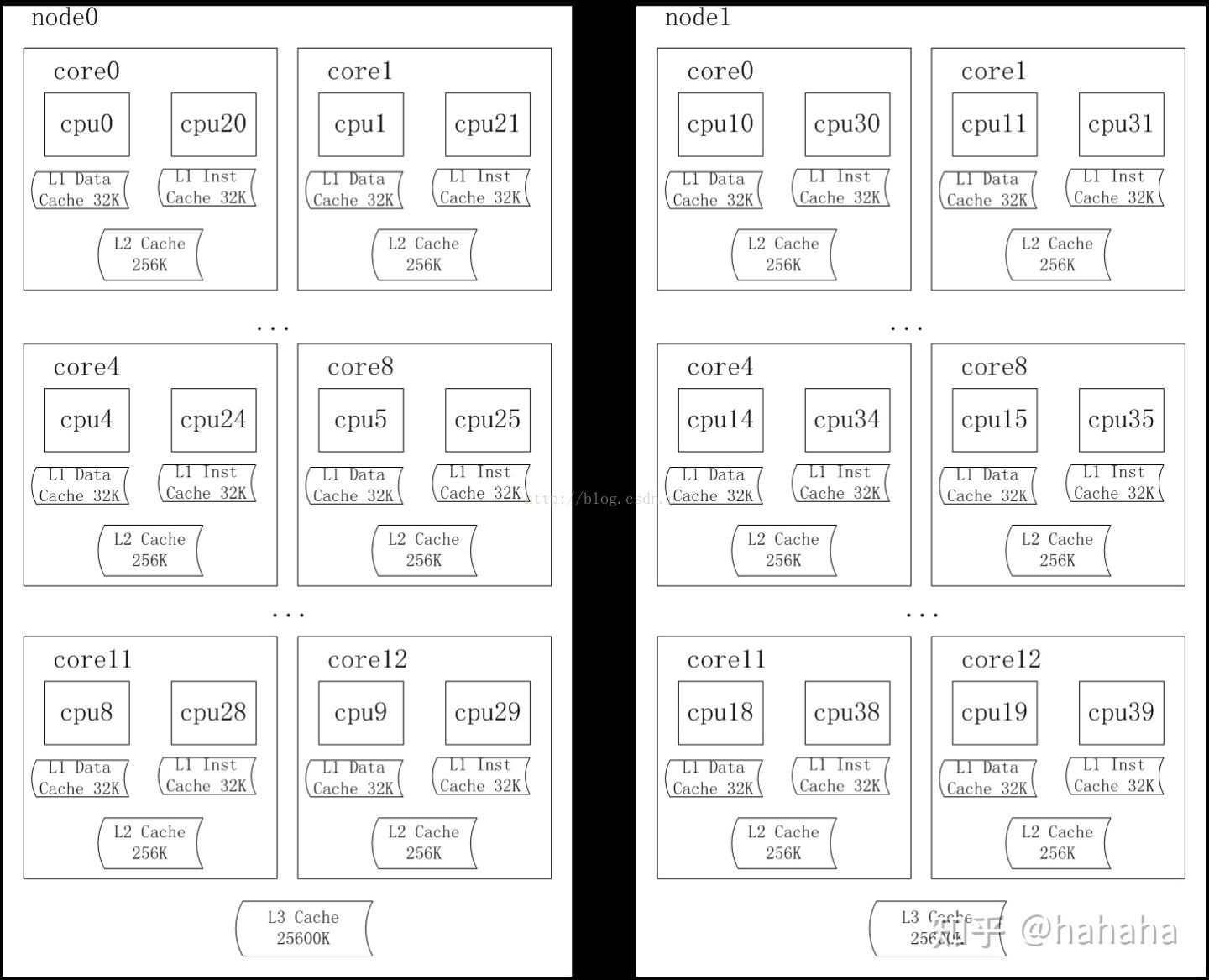 socket core thread numa概念_m0_47541842的博客-CSDN博客