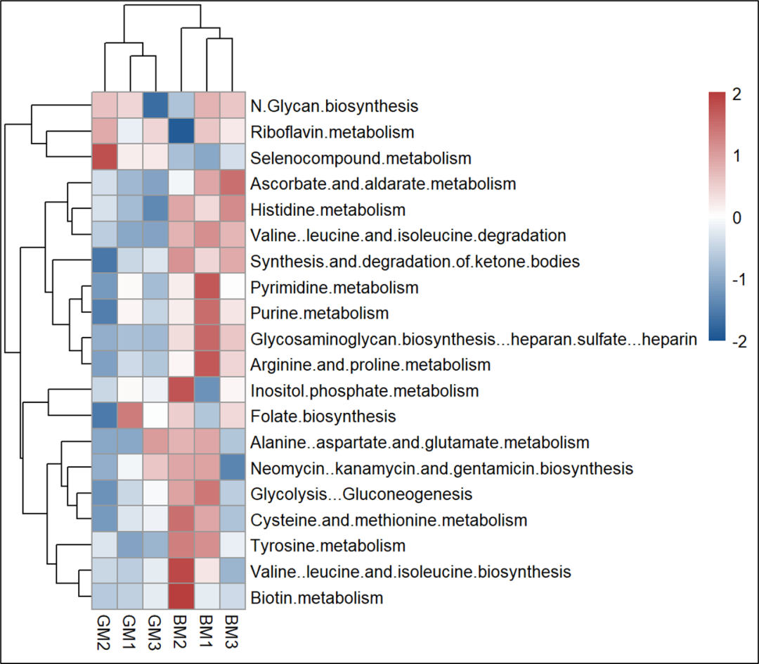 scMetabolism：一个简单的单细胞代谢分析R包_dotplot.metabolism横坐标-CSDN博客