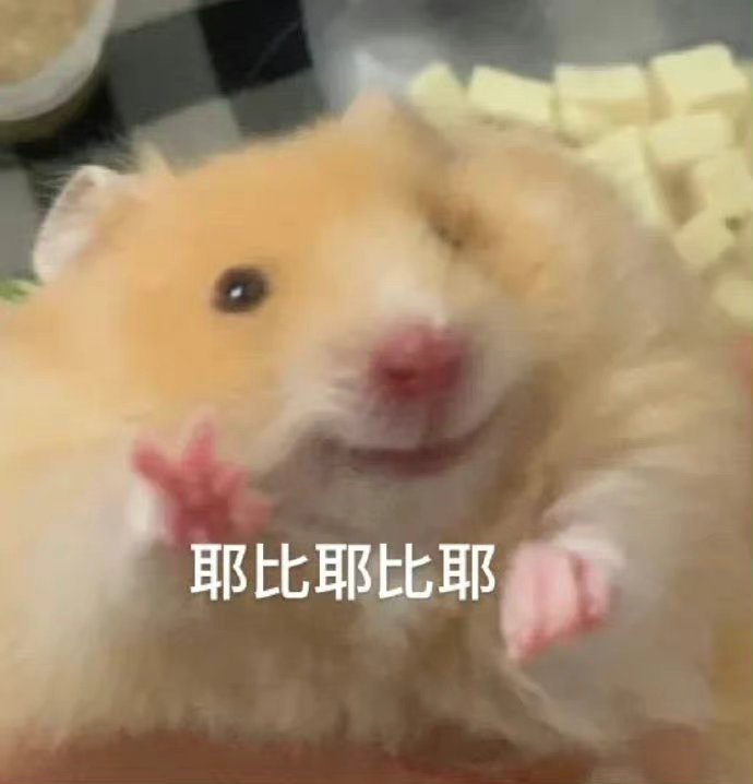 JavaScript 字符串魔法：实用技巧——WEB开发系列45-CSDN博客