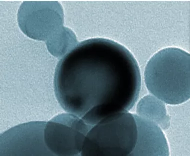 【TEM】一分钟上手TEM图像上色，让你的论文高大上！-科学指南针_tem绘图用什么-CSDN博客