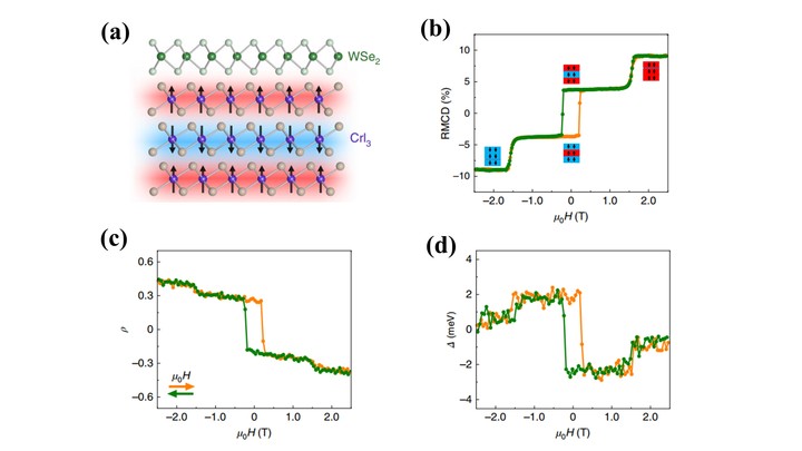 二维ising模型概率c语言_二维磁性材料的范德瓦尔斯异质结-CSDN博客