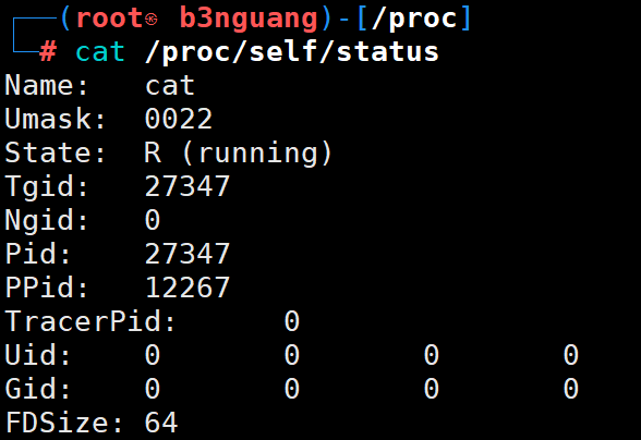 /proc文件系统解析-CSDN博客