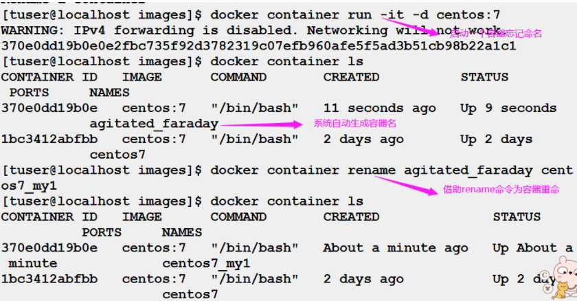 Docker笔记_usermod -ag docker $user-CSDN博客