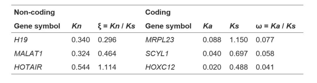 GPB | KaKs_Calculator 3.0：计算编码与非编码序列的选择压力-CSDN博客
