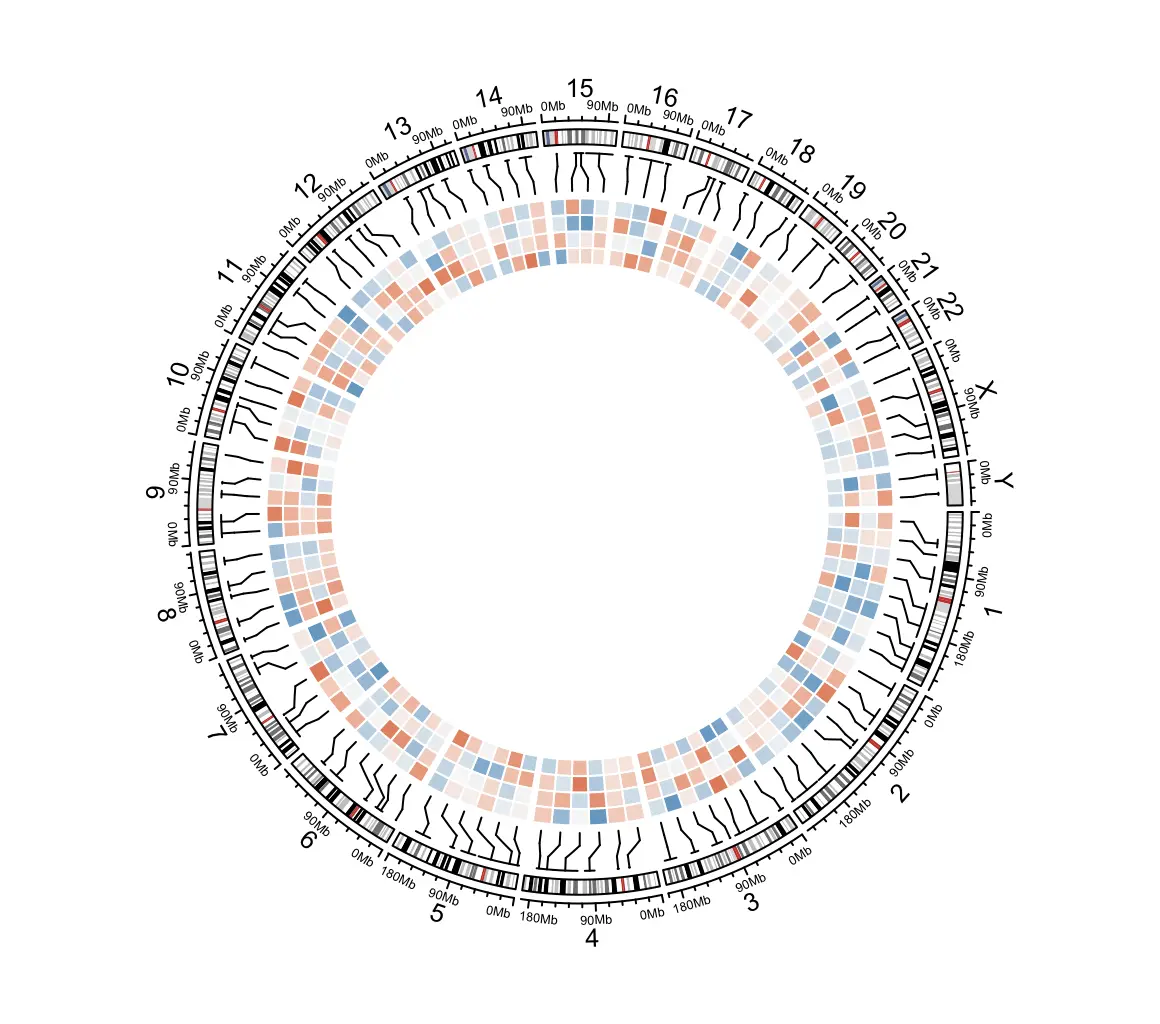 R 数据可视化 —— circlize 基因组高级绘图_使用r进行全基因组circos图-CSDN博客