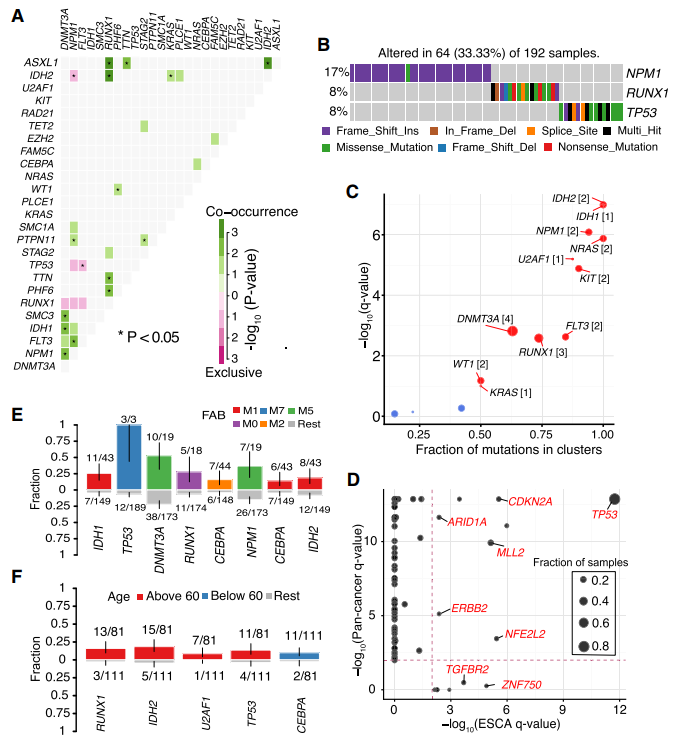 一文学会R包 maftools 简介使用-CSDN博客