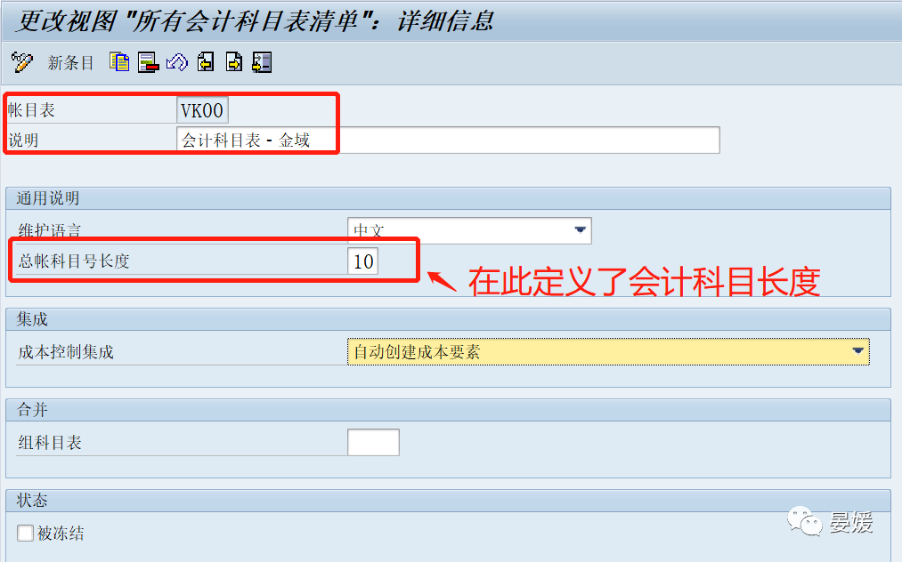 科目主数据_科目表层和公司代码层-CSDN博客