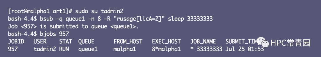 LSF实践专题（20）：LSF集群的资源限制功能_lsf查询个人的资源限额-CSDN博客
