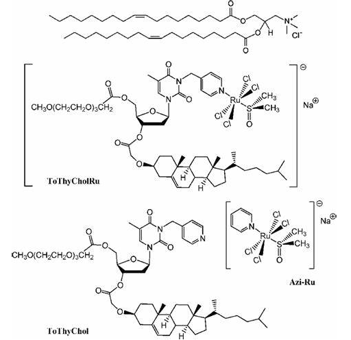 阳离子脂质体DOTAP的应用优势，CAS：132172-61-3；DOTAP的结构式-CSDN博客