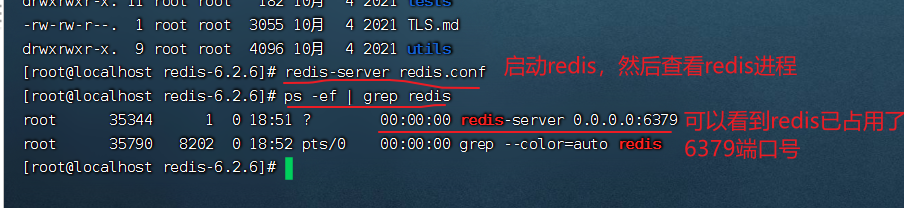 Redis基础篇-CSDN博客